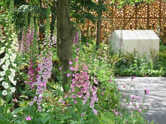 Home | Land Design Studio